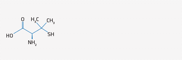 Metalcaptase® 150 mg - HEYL